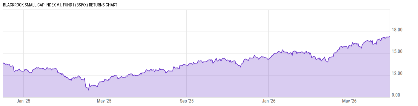 BlackRock Small Cap Index V.I. Fund I - Real-Time NAV & His…